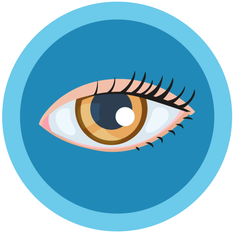 Diagnosis and Associated Comorbidities – Nonproliferative Diabetic ...